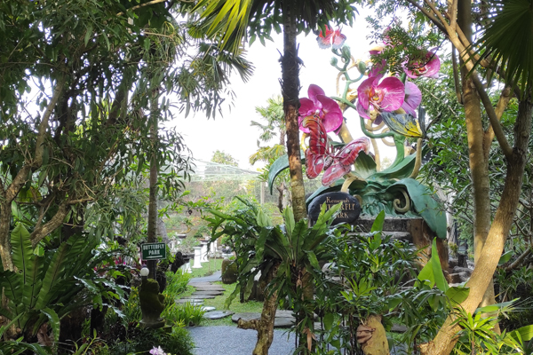 Kemenuh Butterfly Park Bali: A Must-Visit Destination in Bali